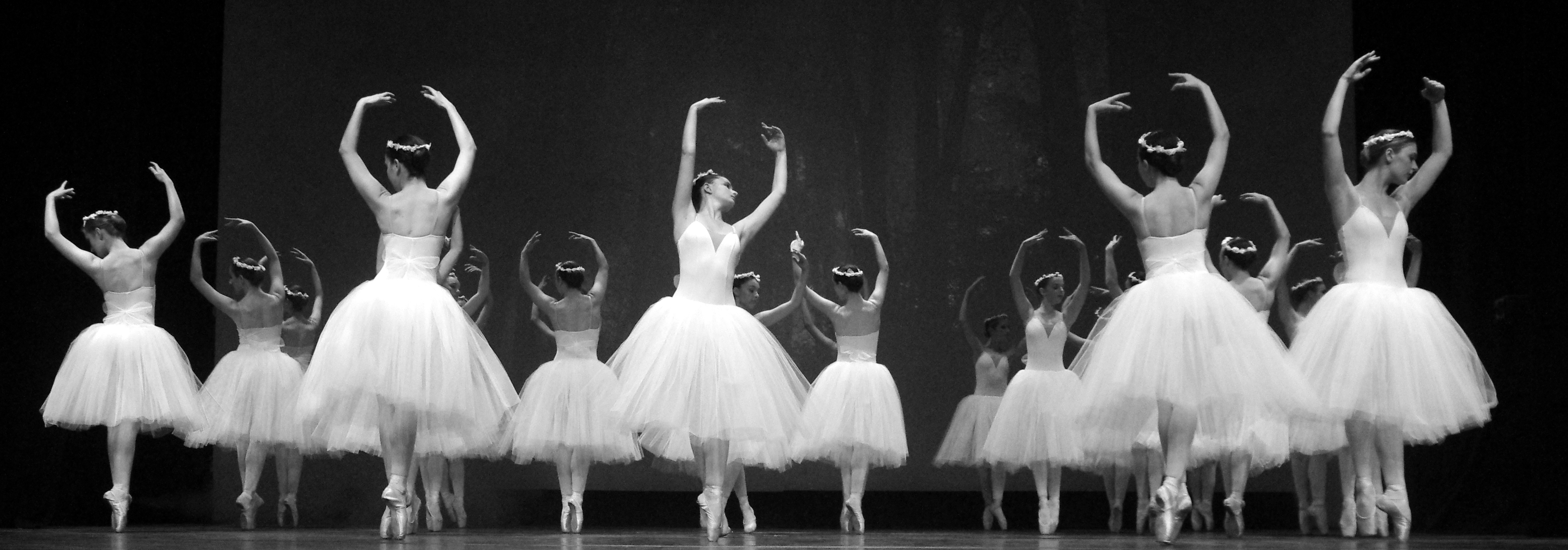 Welcome to Terry Simpson Studios