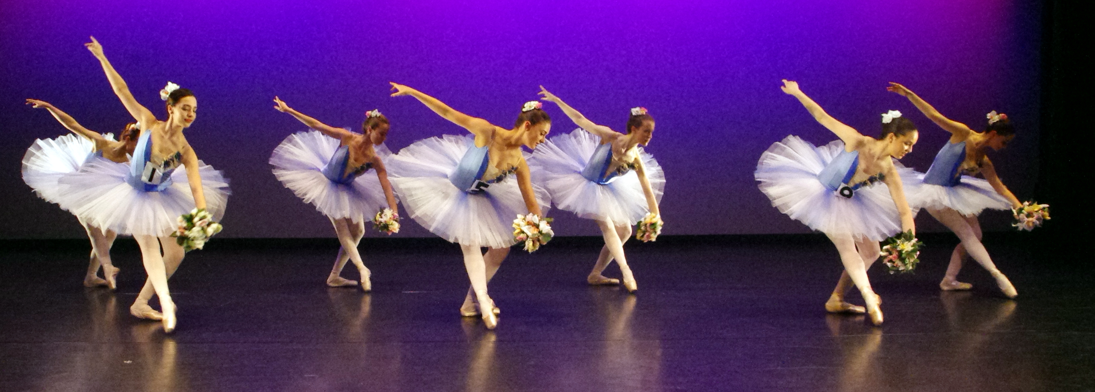 Welcome to Terry Simpson Studios