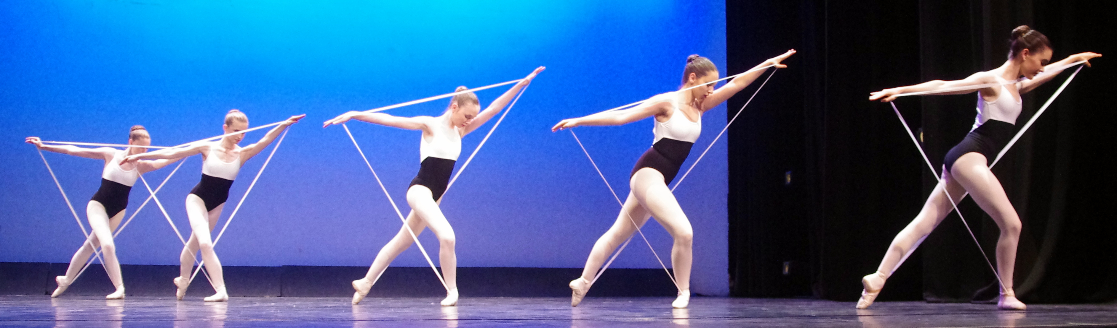 Welcome to Terry Simpson Studios