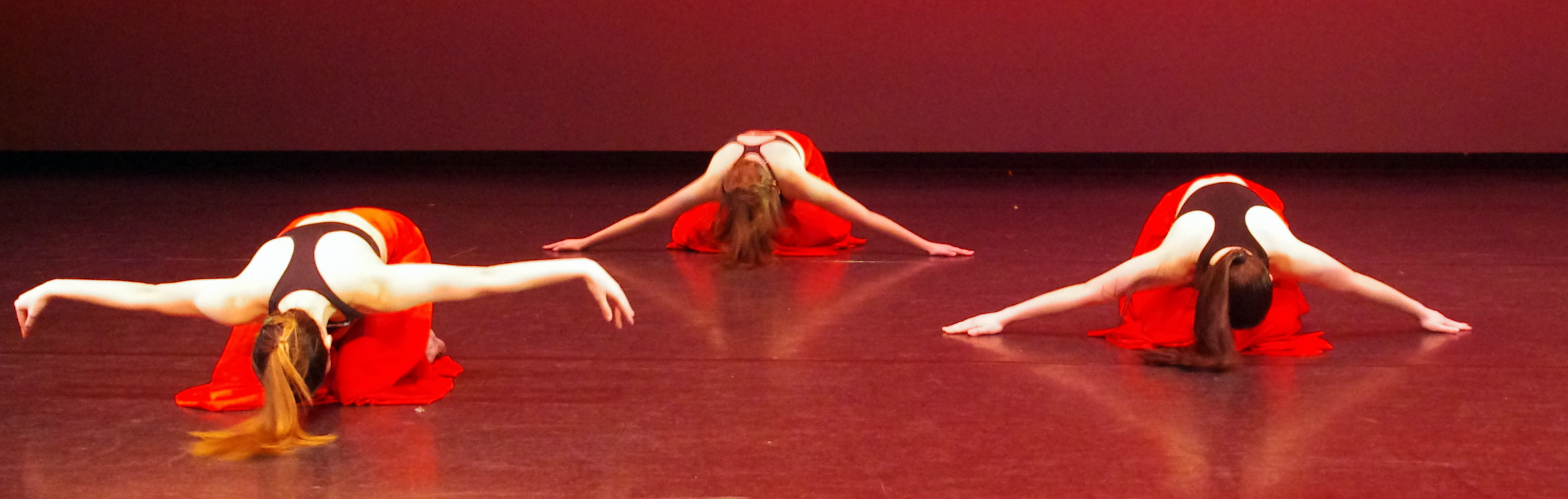 Welcome to Terry Simpson Studios