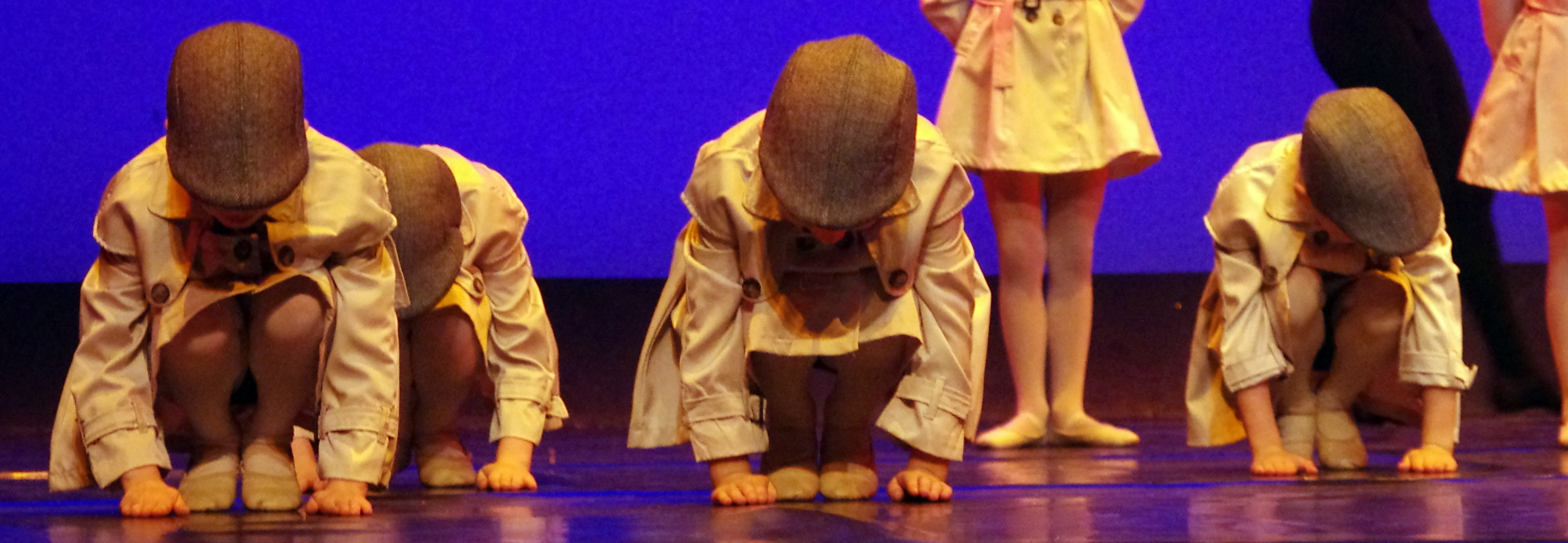 Welcome to Terry Simpson Studios