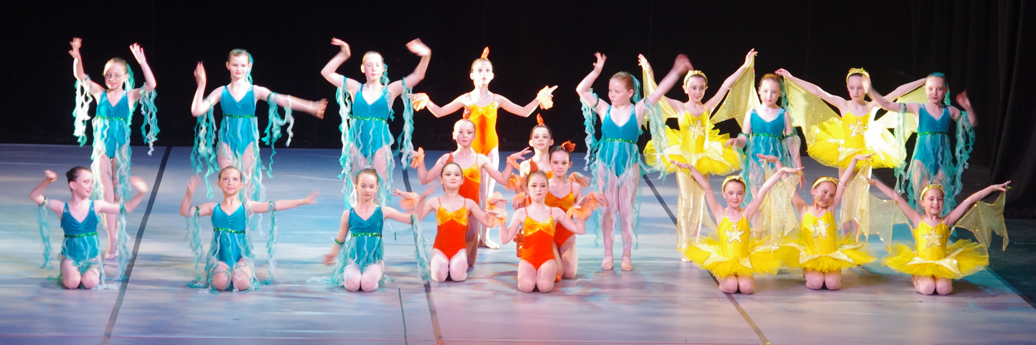 Welcome to Terry Simpson Studios