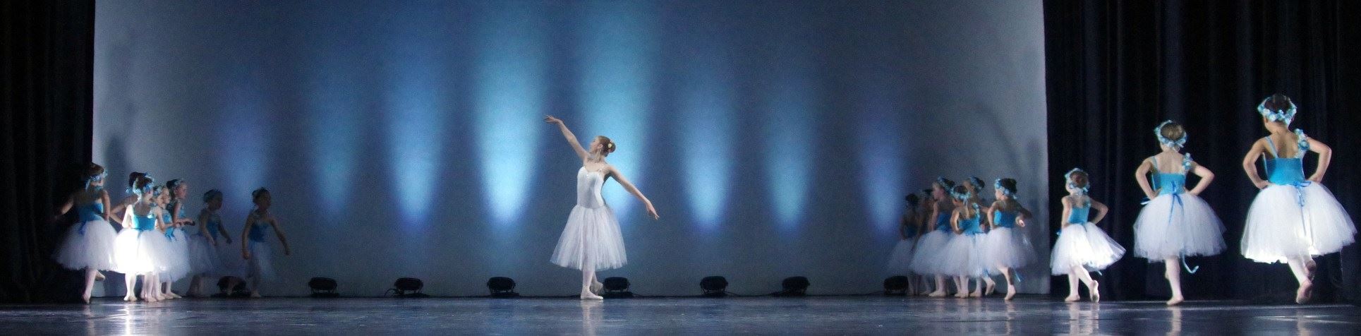 Welcome to Terry Simpson Studios